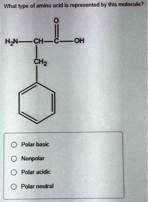 Polar Neutral Amino Acids