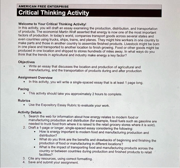 AMERICAN FREE ENTERPRISE Critical Thinking Activity Welcome to Your ...