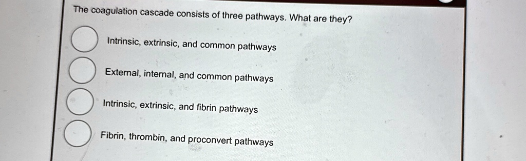 the coagulation cascade consists of three pathways what are they ...