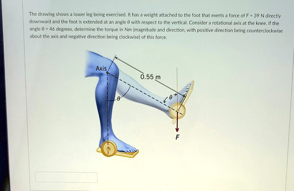 The drawing shows a lower leg being exercised. It has a weight attached ...