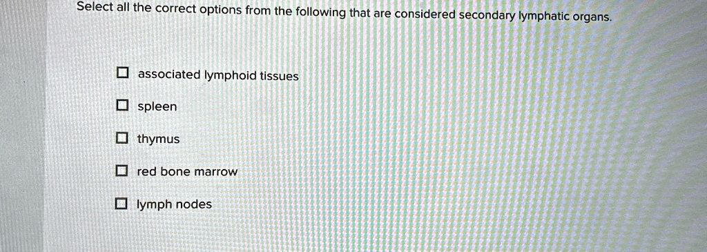 Select all the correct options from the following that are considered secondary lymphatic organs ...