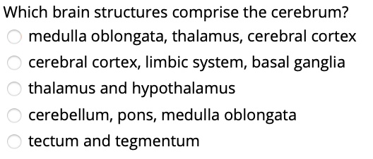 SOLVED: Which brain structures comprise the cerebrum? medulla oblongata ...