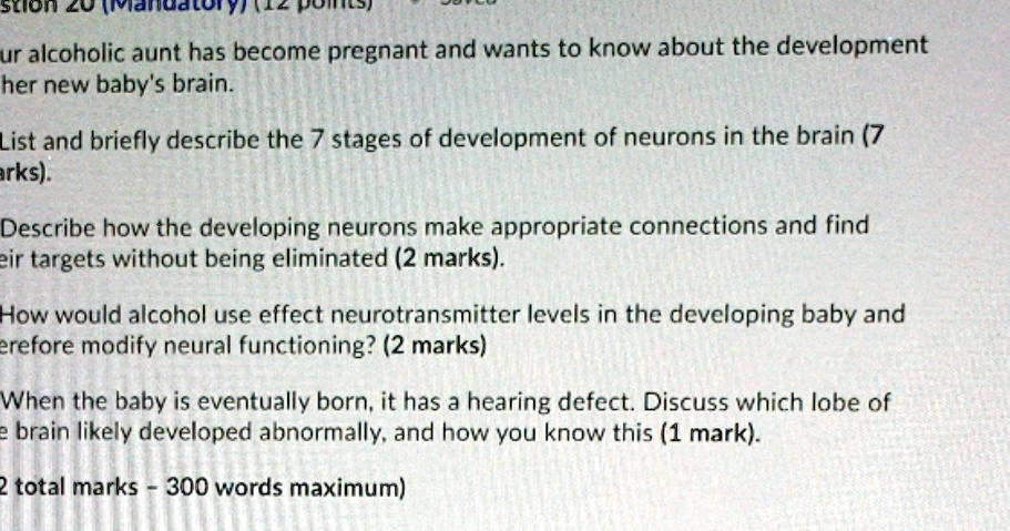 Solved 7 Stages Neurogenesis Migration Differentiation Maturation Synaptogenesis Pruning
