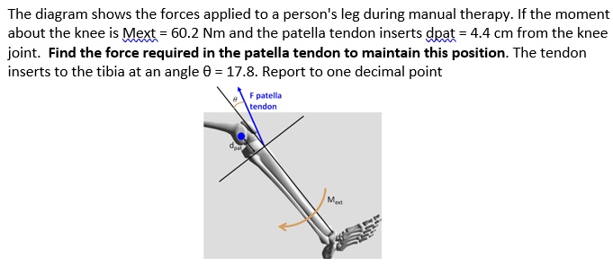 SOLVED: The diagram shows the forces applied to a person's leg during ...