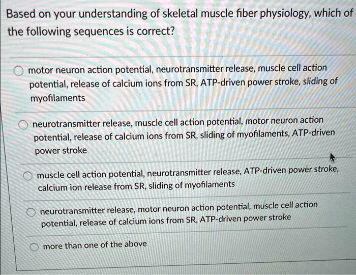 SOLVED: Based on your understanding of skeletal muscle fiber physiology ...