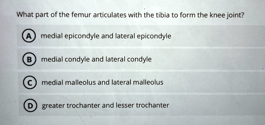 What part of the femur articulates with the tibia to form the knee ...