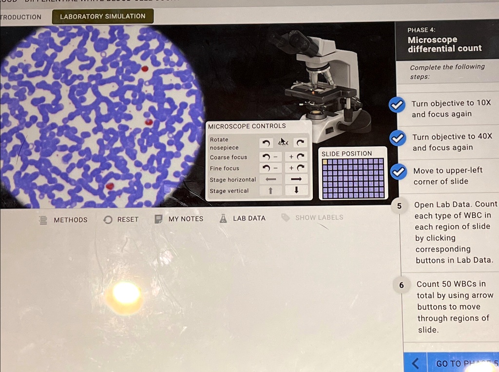 TRODUCTION LABORATORY SIMULATION MICROSCOPE CONTROLS Rotate nosepiece Coarse focus Fine focus ...