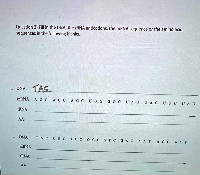 SOLVED:Question 3) Fill in the DNA, the rRNA anticodons, the mRNA ...