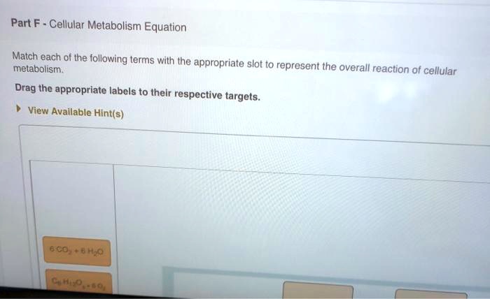 Part F - Cellular Metabolism Equation Match each of the following terms ...