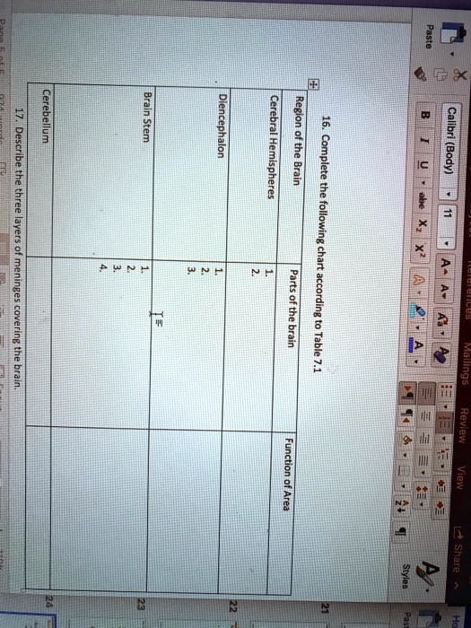 SOLVED: Cerebellum, Brain Stem + Diencephalon, Cerebral Hemispheres ...