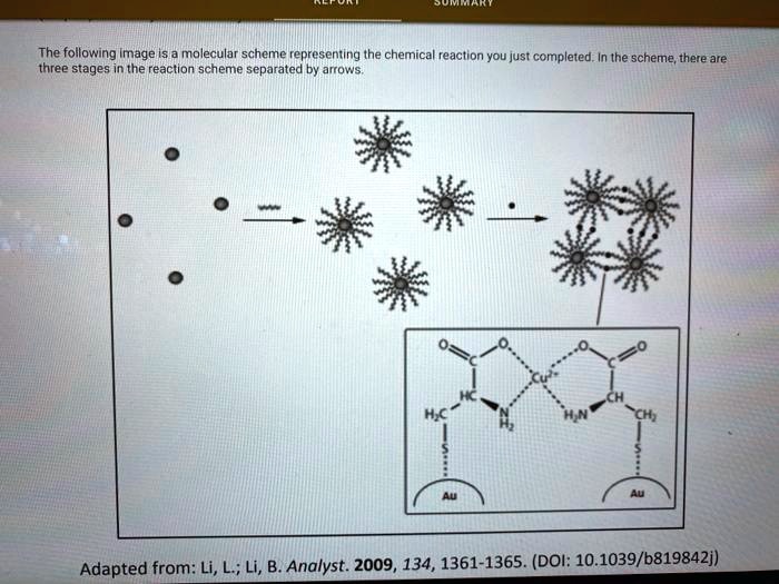 The following image is a molecular scheme representing the chemical ...