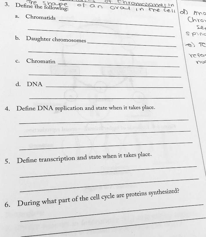 SOLVED: Define the following: Chromatids, Nucleosomes, Chromosomes ...