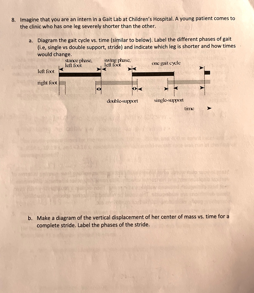8 imagine that you are an intern in a gait lab at childrens hospital a ...