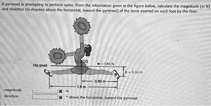 A gymnast is attempting to perform splits. From the information given ...