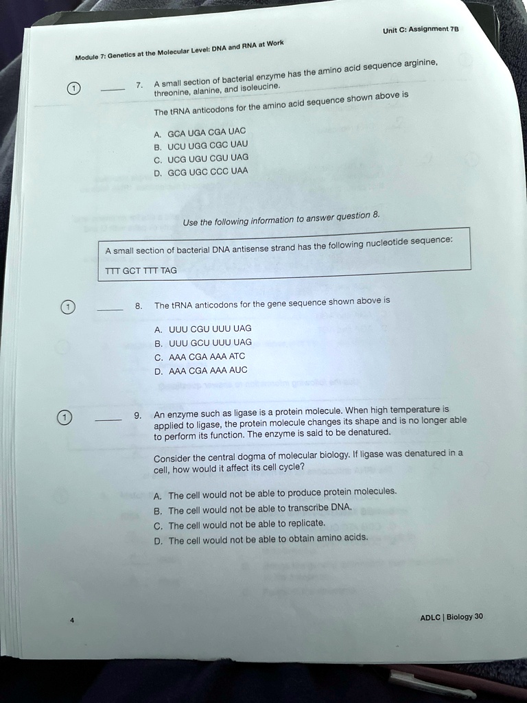 SOLVED: (1) 7. A small section of bacterial enzyme has the amino acid sequence arginine ...
