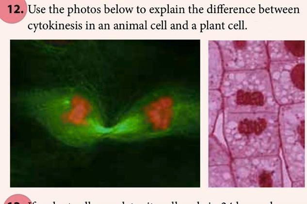 [GET ANSWER] 12 use the photos below to explain the difference between ...