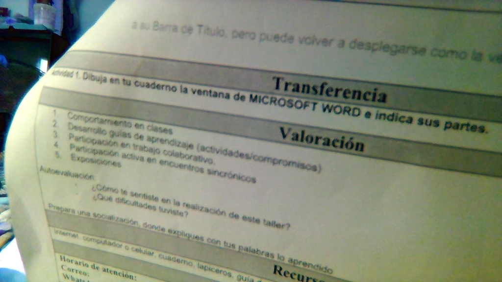 SOLVED: dibuja en tu cuaderno la ventana de MICROSOFT WORD e indica sus ...