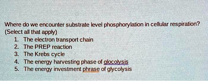 Where do we encounter substrate level phosphorylation in cellular ...