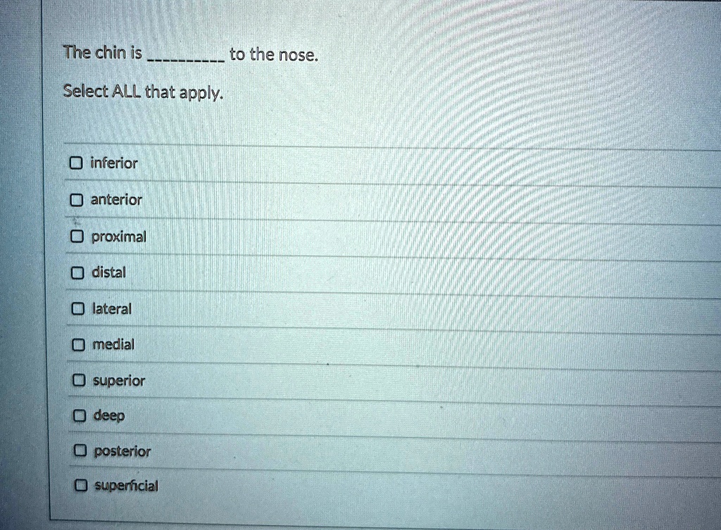 The Chin Is To The Nose Select All That Apply Inferior Anterior