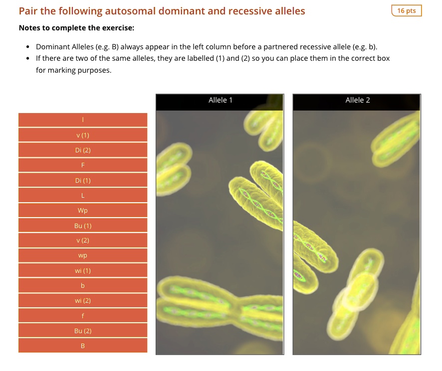SOLVED: Pair the following autosomal dominant and recessive alleles ...