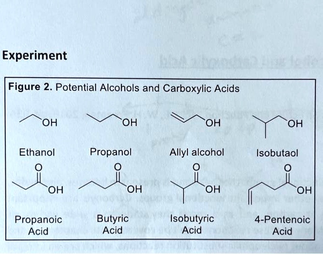 SOLVED: Figure 2. Potential Alcohols and Carboxylic Acids OH OH OH OH ...