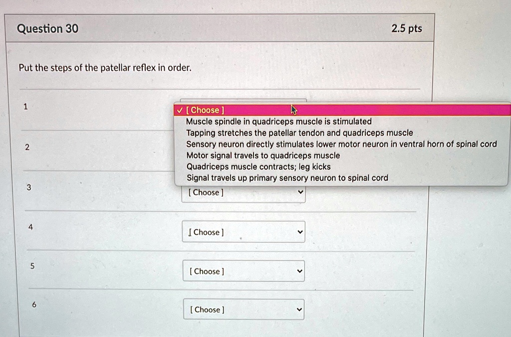 Question 30 Put the steps of the patellar reflex in order. 1 2 3 4 5 6 ...