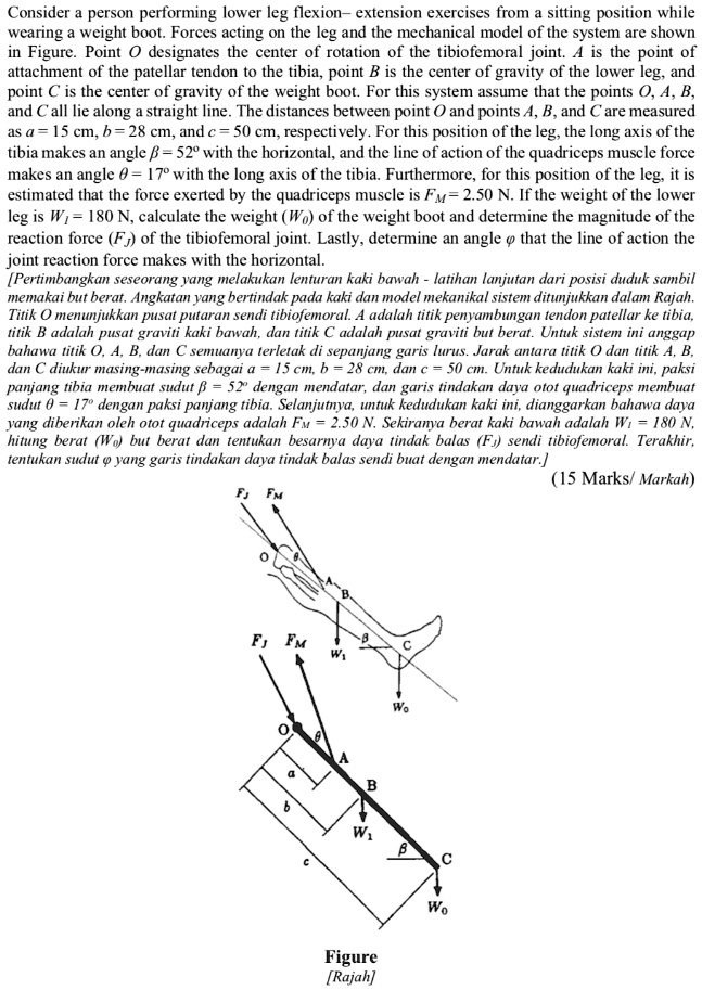 consider person performing lower leg flexion extension exercises from ...