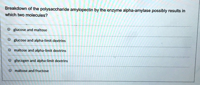 SOLVED: Breakdown of the polysaccharide amylopectin by the enzyme alpha ...