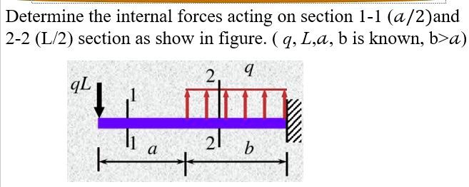 SOLVED: Determine the internal forces acting on section 1-1 (a/2) and 2 ...