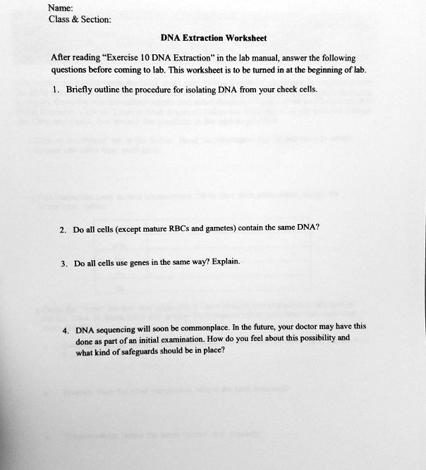 name class section dna extraction worksheet after reading exercise 0 ...