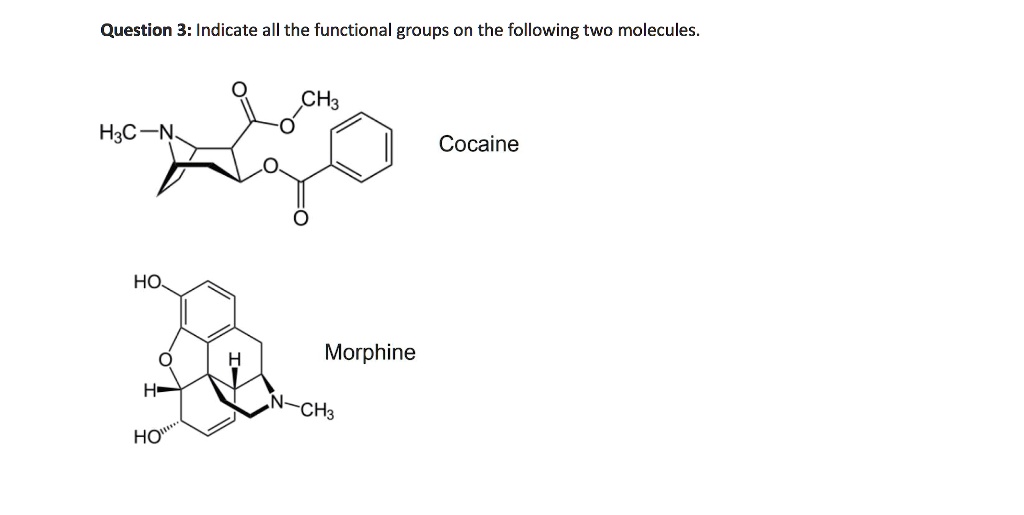 SOLVED: Question 3: Indicate all the functional groups on the following ... SOLVED: Question 3: Indicate all the functional groups on the following ...