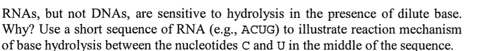 SOLVED:RNAs, but not DNAs, are sensitive to hydrolysis in the presence ...