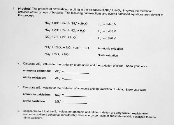 4. (4 points) The process of nitrification, resulting in the...