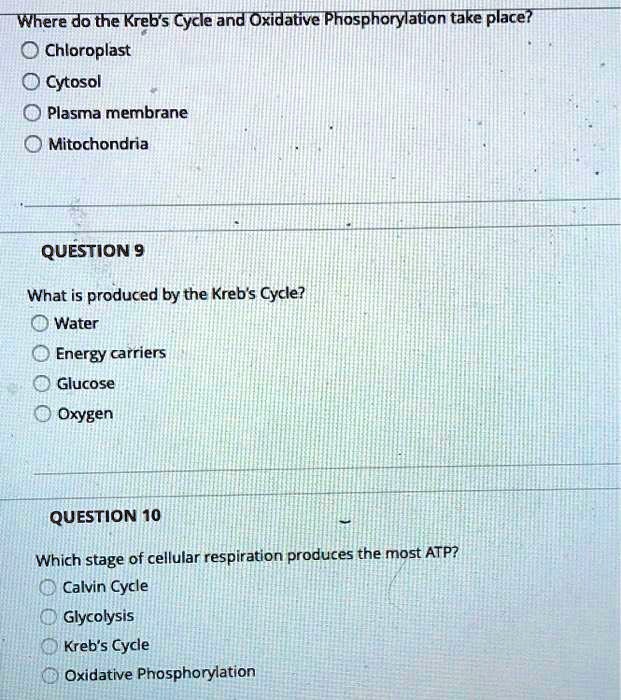 Where do the Kreb's Cycle and Oxidative Phosphorylation take place ...