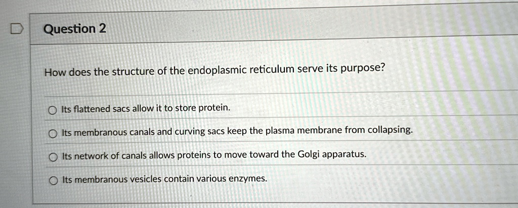 Question 2 How does the structure of the endoplasmic reticulum serve ...