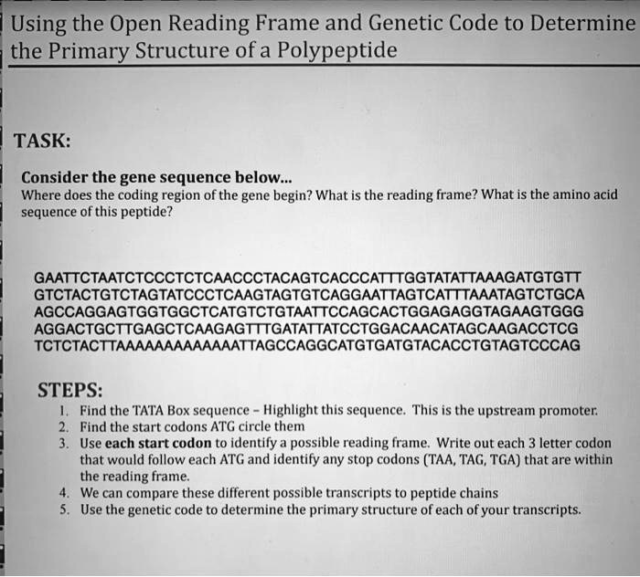 SOLVED:Using the Open Reading Frame and Genetic Code to Determine the ...