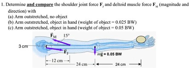 1. Determine and compare the shoulder joint force FJ and deltoid muscle ...