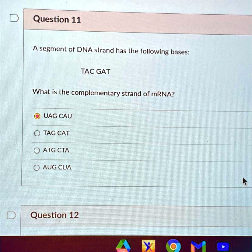 SOLVED: 'please help me :( this is due in 5 mins. A segment of DNA strand has the following ...