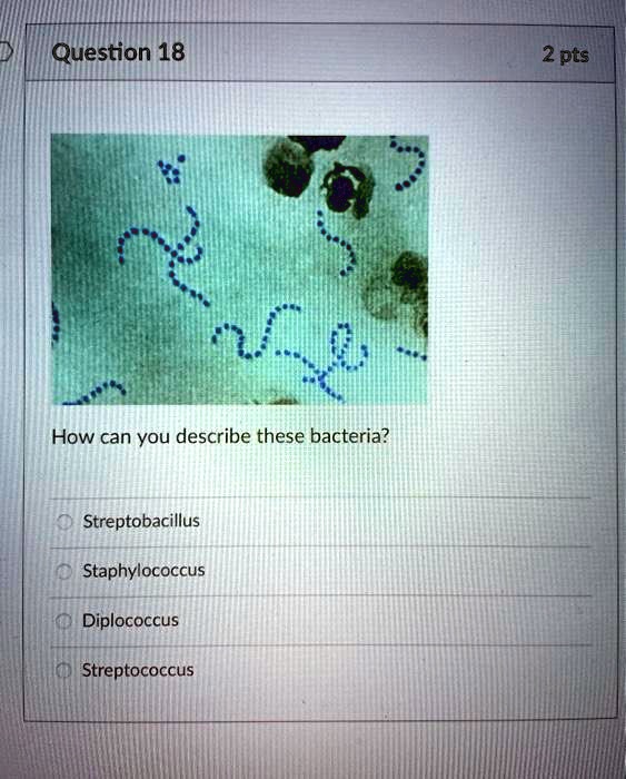 SOLVED: Question 18 2 pts How can you describe these bacteria ...