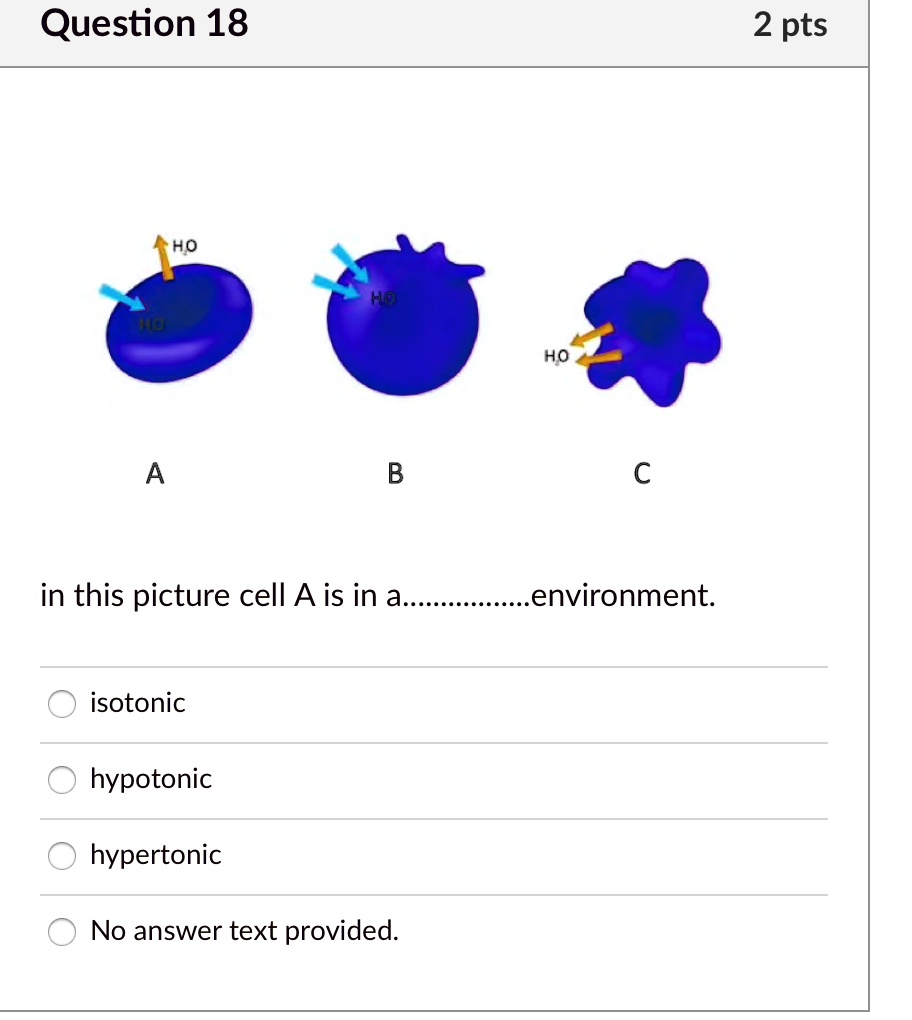 SOLVED: Question 18 2 pts Ho Hit H Ho in this picture cell A is in a ...