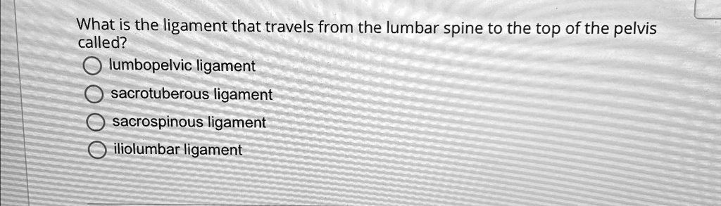 iliolumbar ligament the other options listed lumbopelvic ligament ...