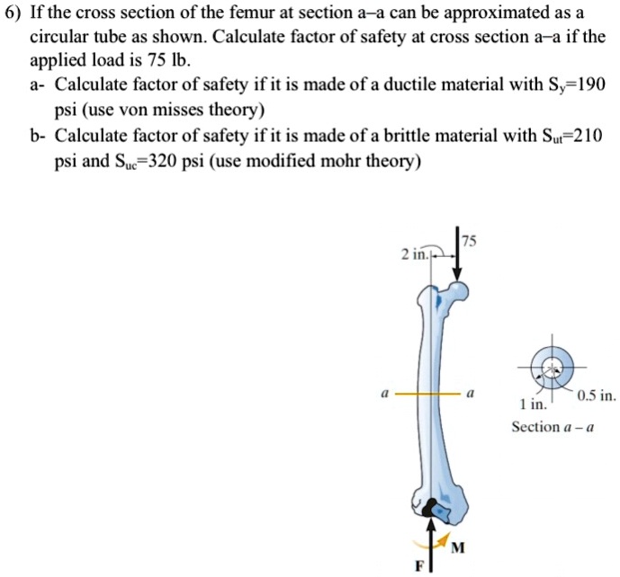 SOLVED: If the cross section of the femur at section a-a can be ...