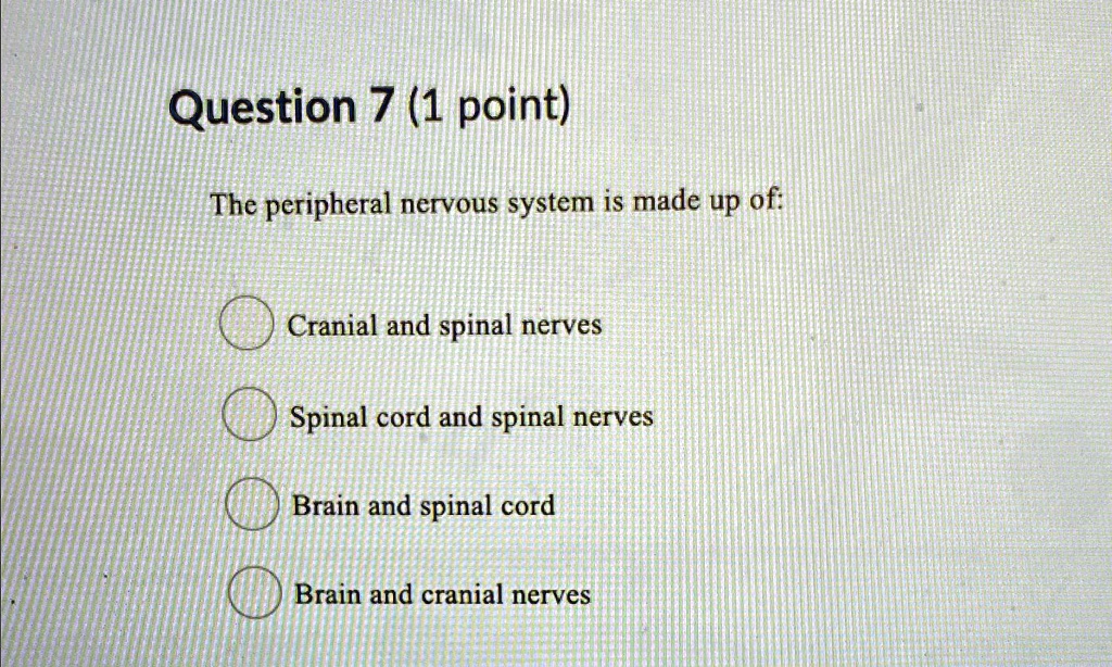 SOLVED: Question 7 (1 point) The peripheral nervous system is made up ...