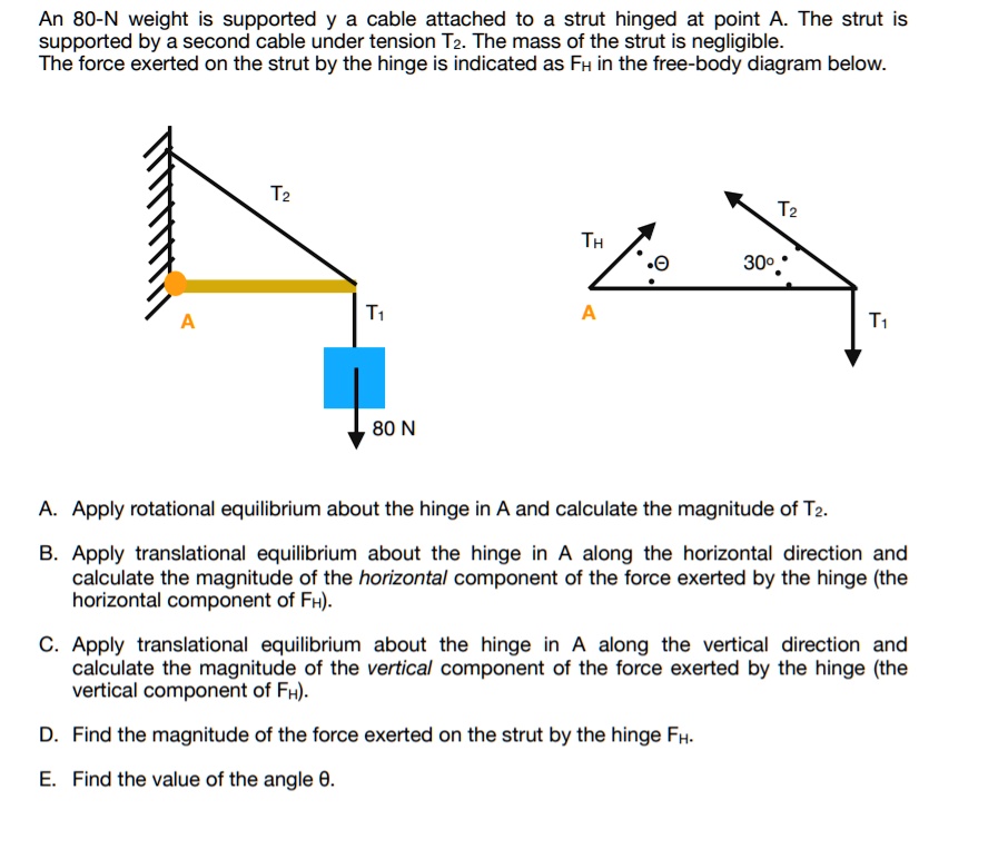 SOLVED: An 80-N weight is supported y a cable attached to a strut ...