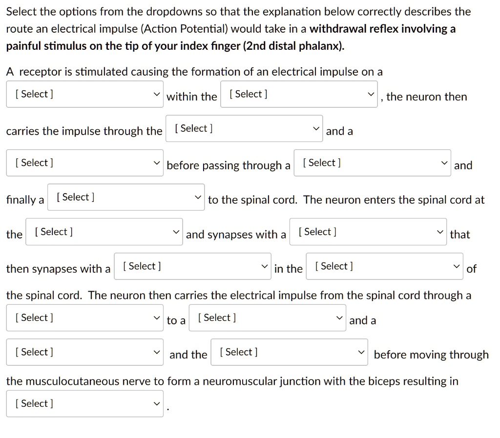 options for each section are listed below for the 15 fill in spots 1 ...