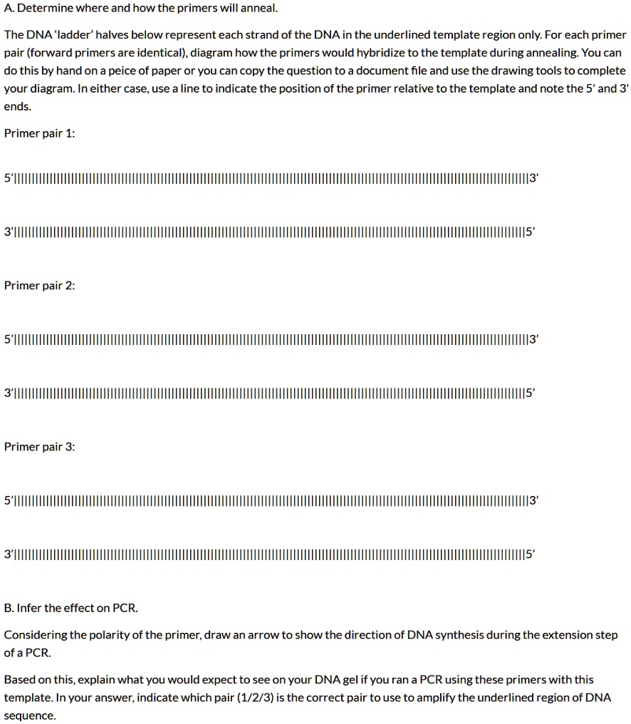 SOLVED: A. Determine where and how the primers will anneal: The DNA ...