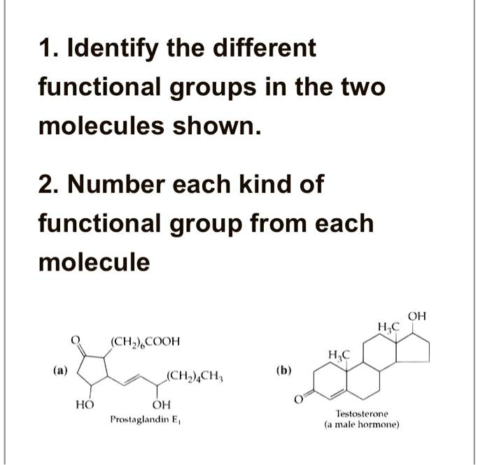 1 identify the different functional groups in the two molecules shown 2 ...