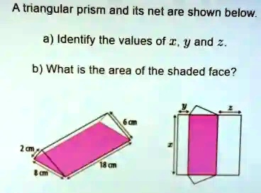 SOLVED: A triangular prism and its net are shown below Identify the ...