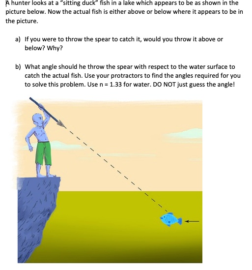 SOLVED: A hunter looks at a "sitting duck" fish in a lake, which ...