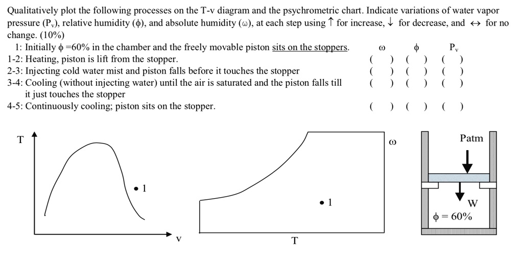 SOLVED: Qualitatively plot the following processes on the T-v diagram ... SOLVED: Qualitatively plot the following processes on the T-v diagram ...
